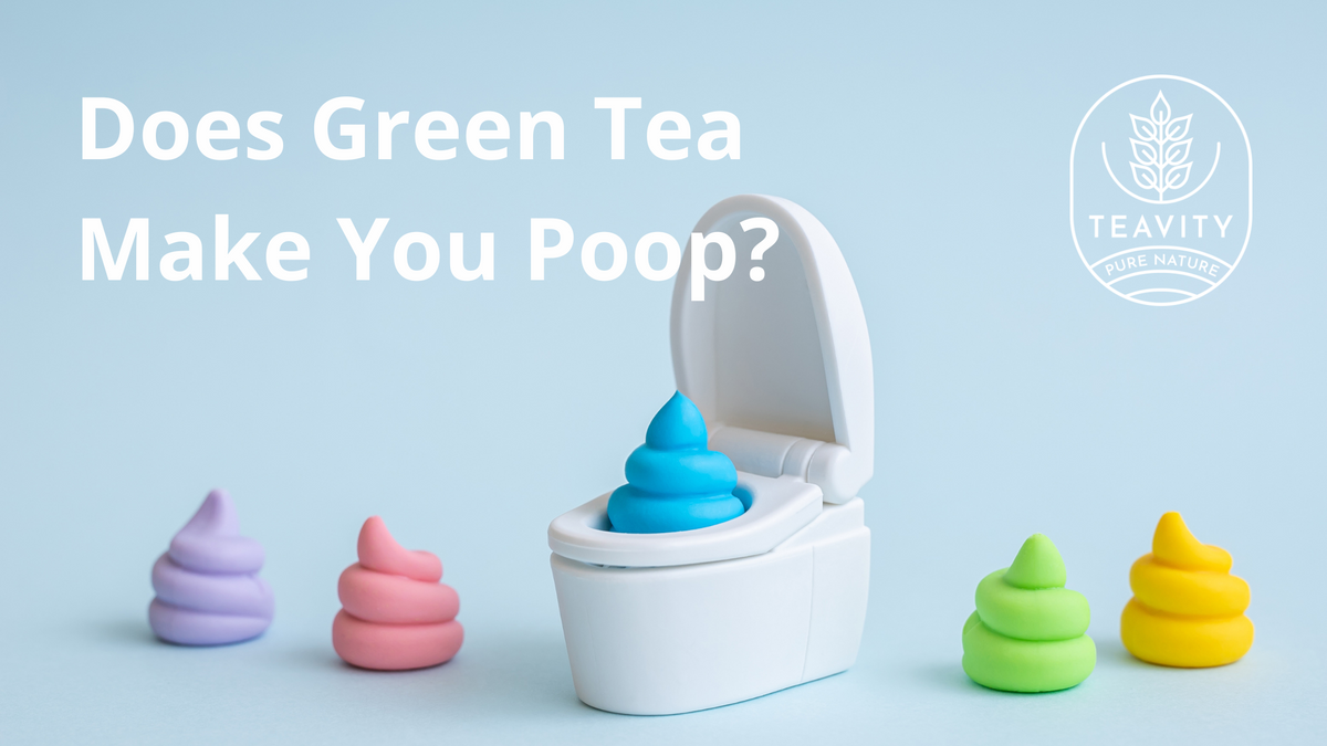 Does Green Tea Make You Poop? What Science Says About Digestion – Teavity